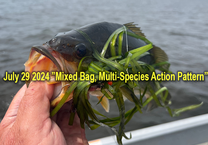 Fishing Reports Minnesota Fishrapper Current Fish Report